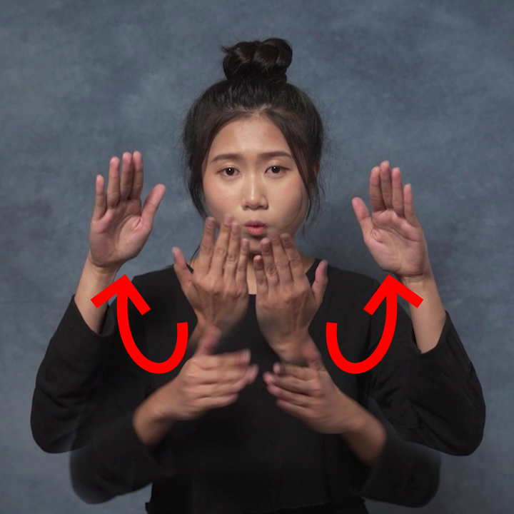 Hong Kong Sign Language – LDL | Department of Linguistics | HKU